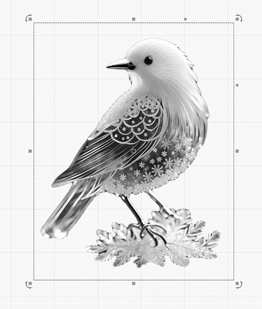Border around image removale - LightBurn Software Questions - LightBurn ...