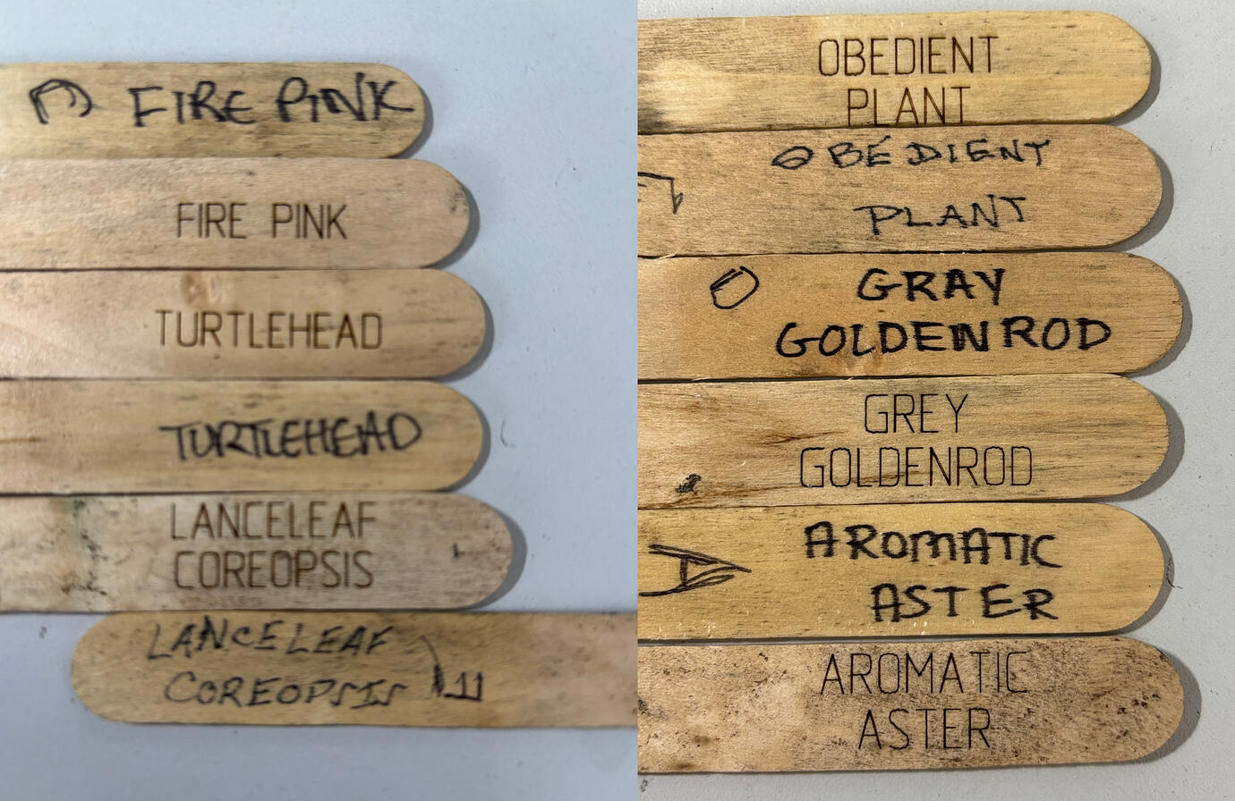 Another noob question - looking to print repetitive text. Are there ...
