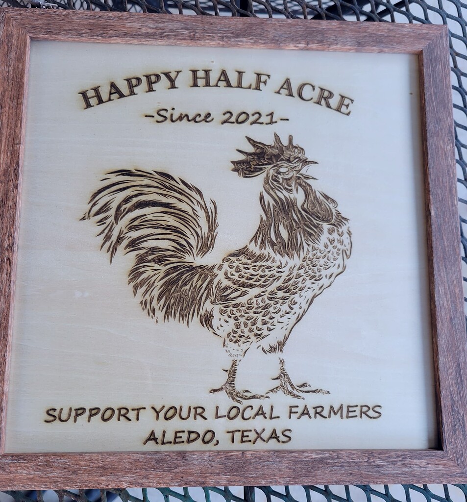 Hope this is not too simple a project to post here, my second Lightburn ...