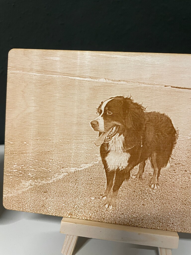Picture is not engraved correctly - GRBL - LightBurn Software Forum
