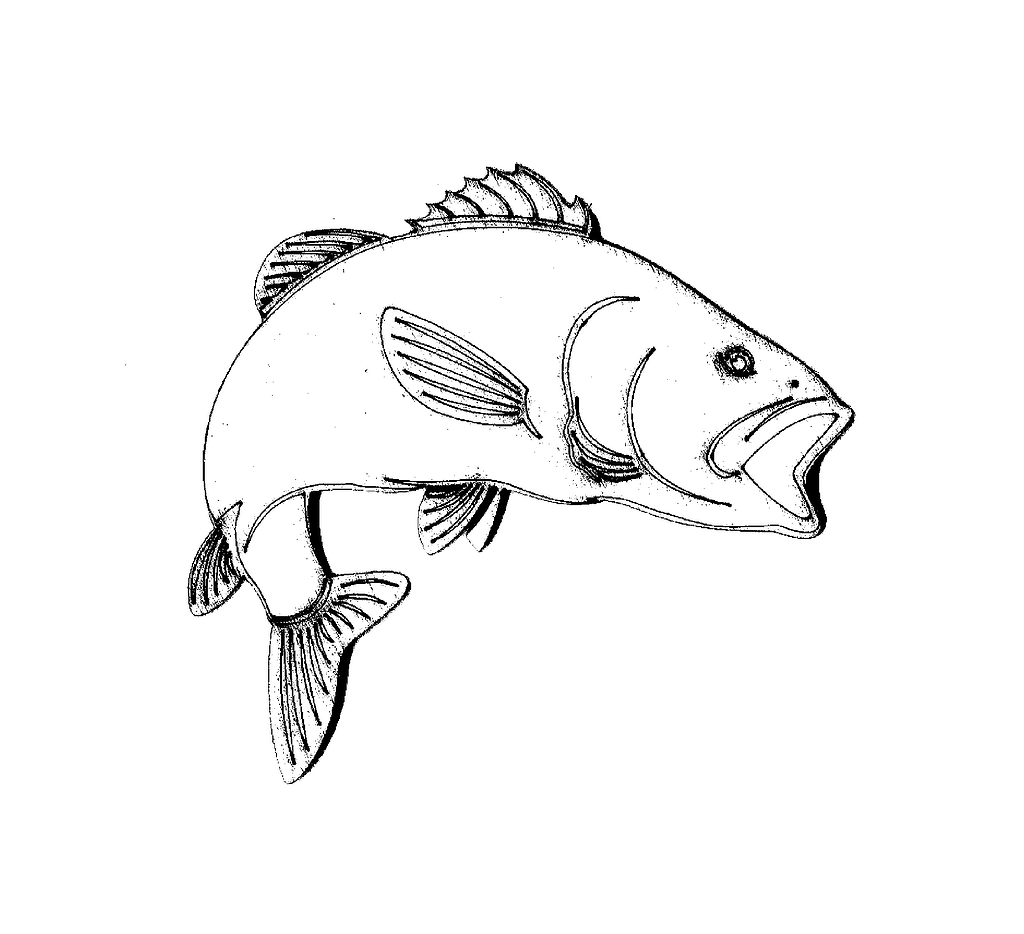 Cutting out an image - LightBurn Software Questions - LightBurn ...