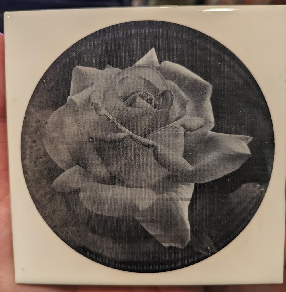 Double Lasered Rose Tile - xTool D1 - LightBurn Software Forum