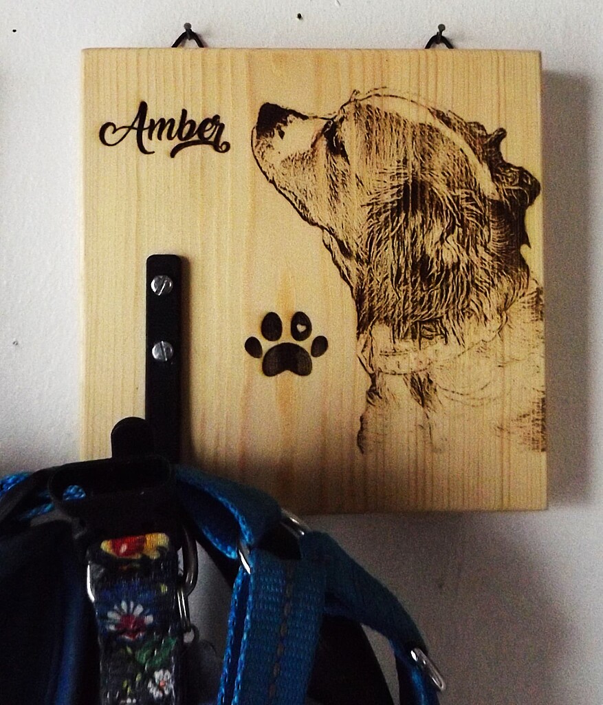 My creation with a creality falcon 5 - Finished Creations - LightBurn ...